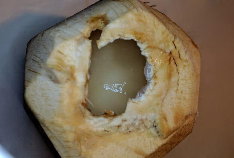 Creamy iced coconut shake - GreedyPanda Foodie Blog